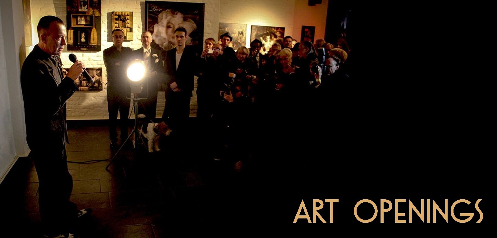 Art Openings And Interviews